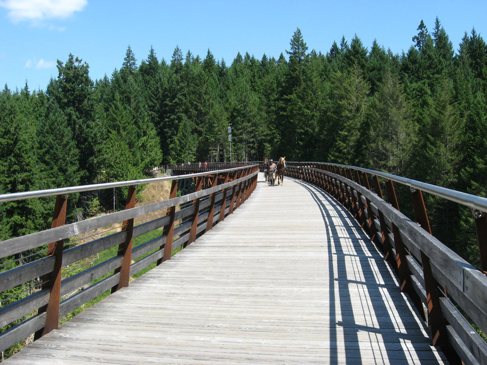 Kinsol Trestle on the Cowichan Valley Trail | Best Pictures in the World