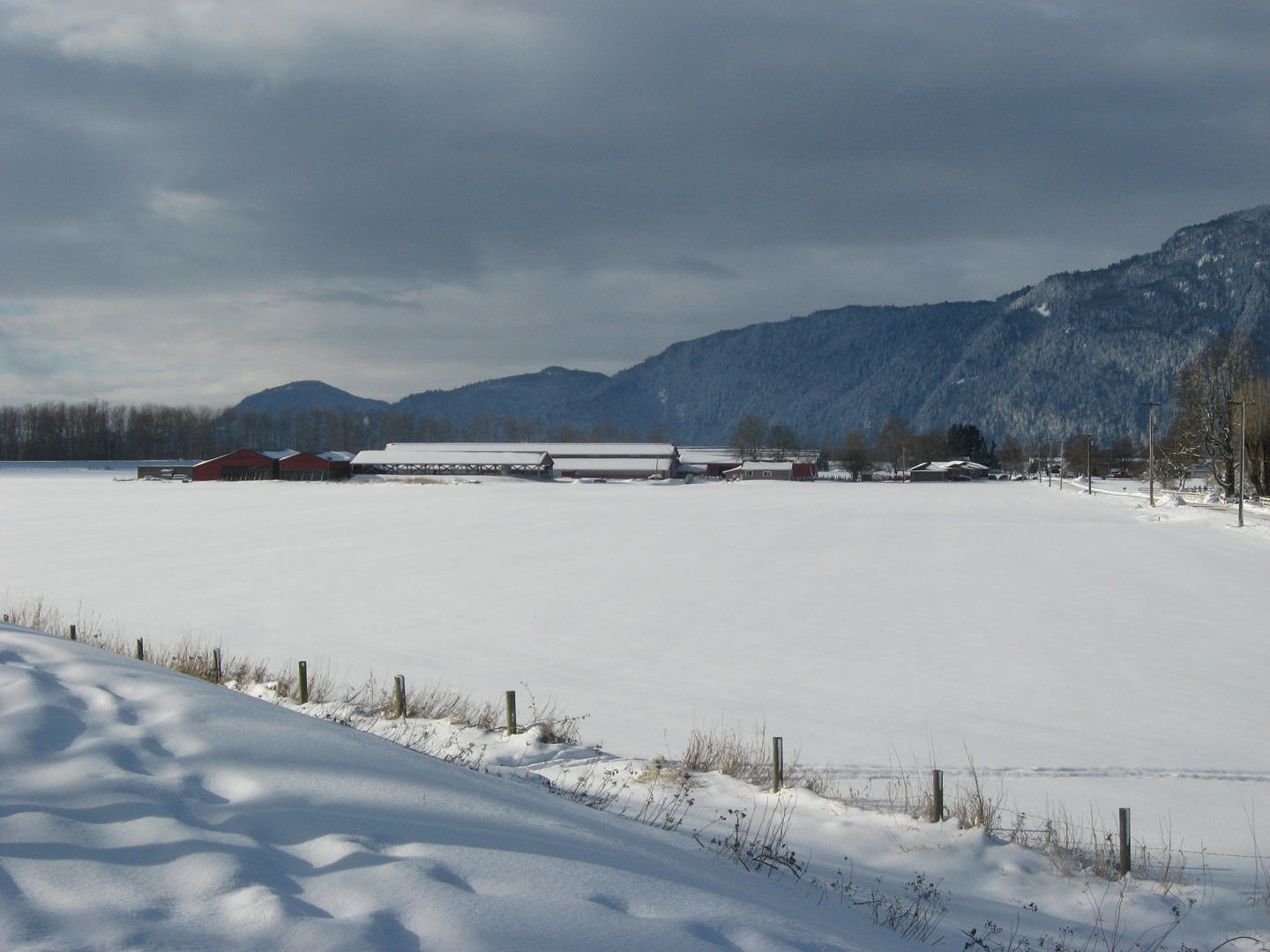 Download Free Pictures for Any Purpose | Best Pictures in the World